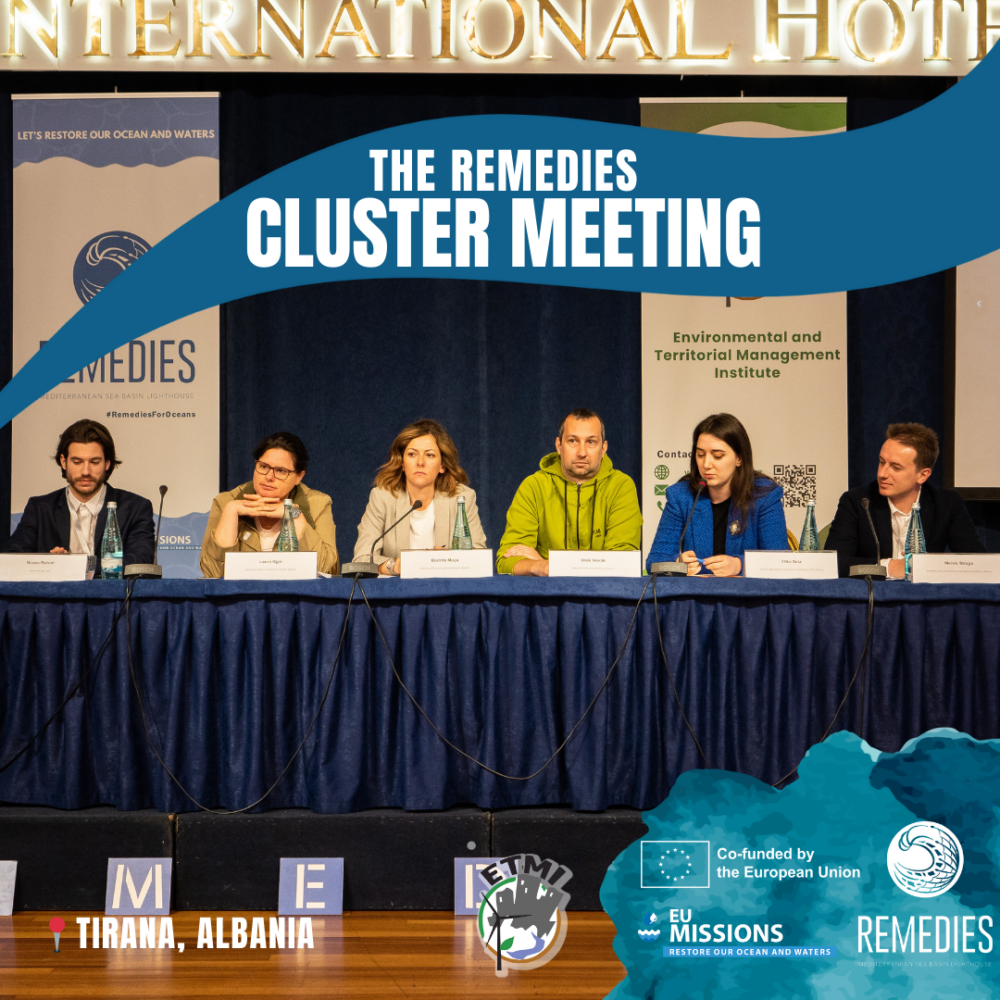 2nd REMEDIES CLUSTER MEETING: From Home to Rivers, Seas, and Ocean ...