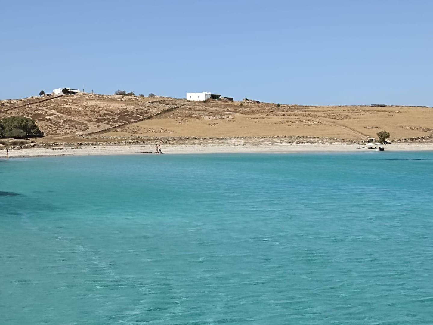 Beach Clean-up at Lygia Beach, Rinia Island, in Greece - Remedies