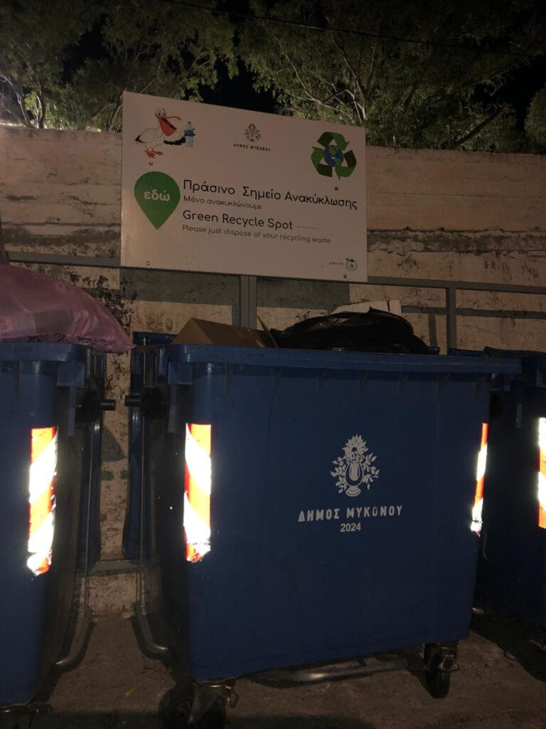 Beach Clean-up at Lygia Beach, Rinia Island, in Greece - Remedies