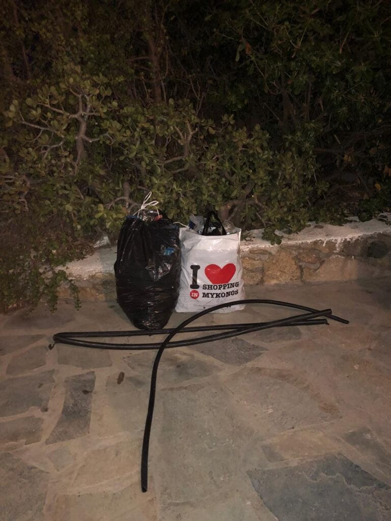 Beach Clean-up at Lygia Beach, Rinia Island, in Greece - Remedies